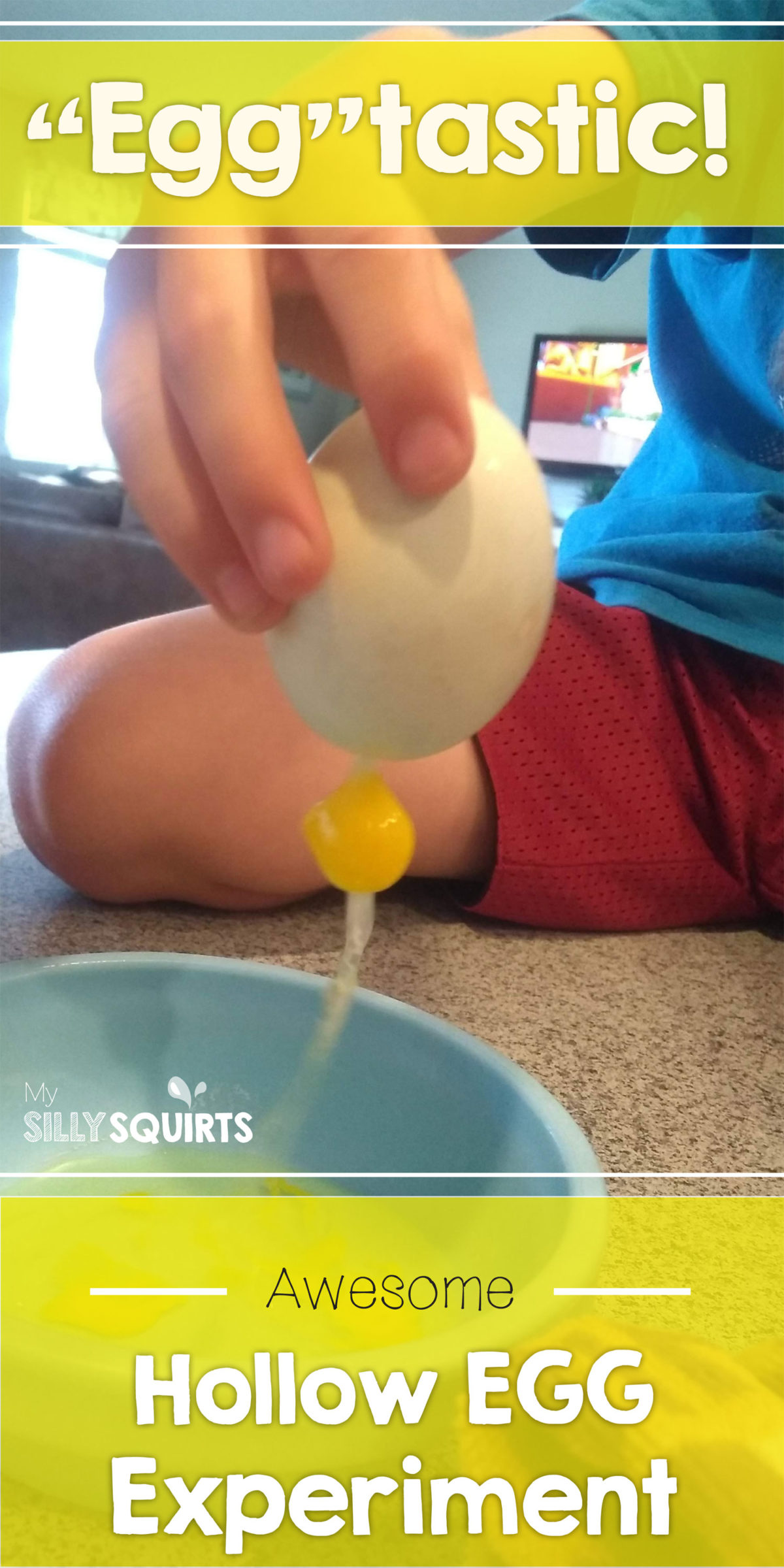 An "egg"tastic experiment your kids will love - My Silly Squirts