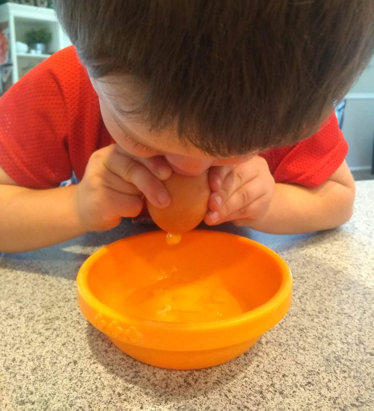 An "egg"tastic experiment your kids will love - My Silly Squirts