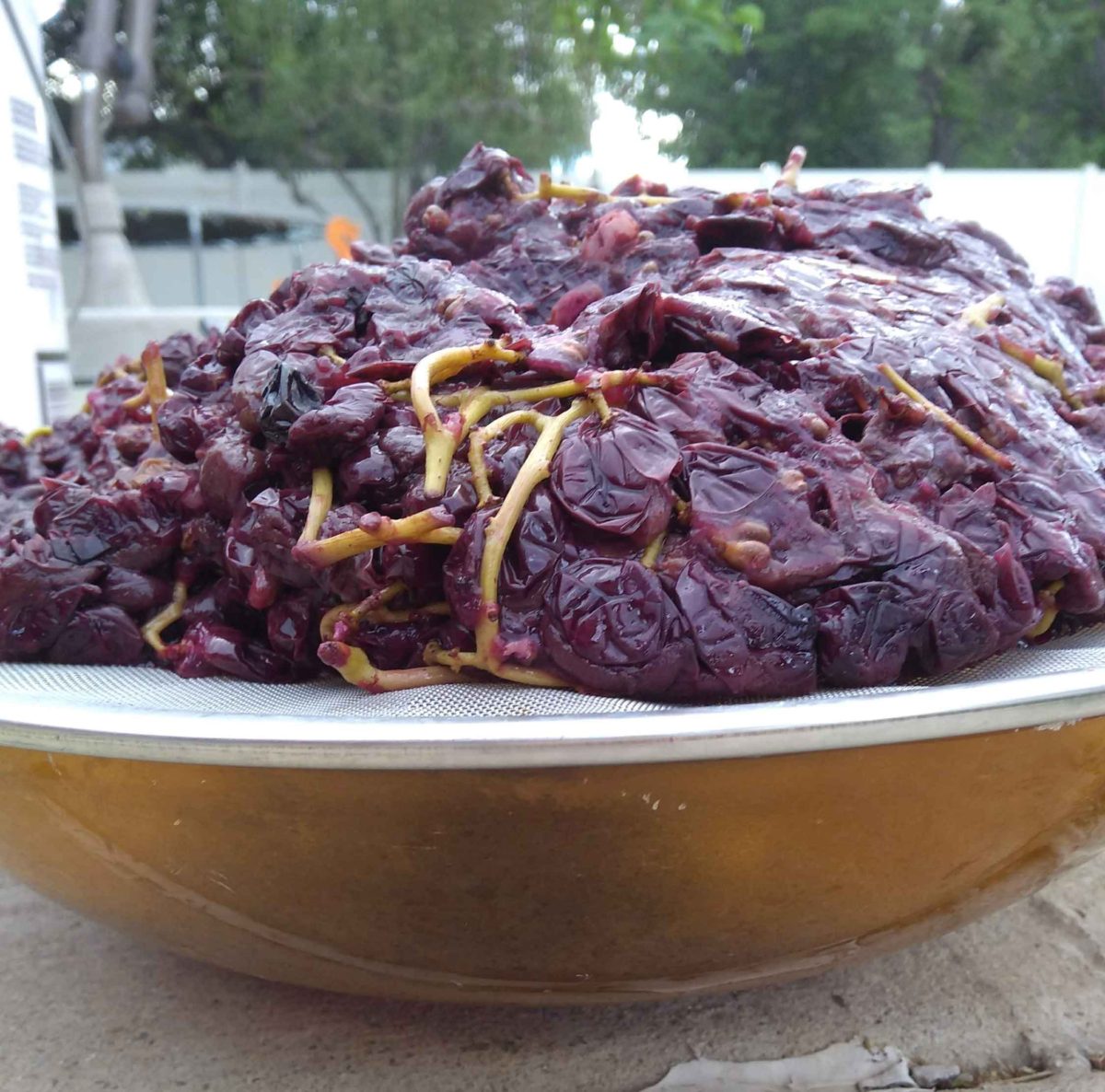 11 useful tips to bottling grape juice - My Silly Squirts