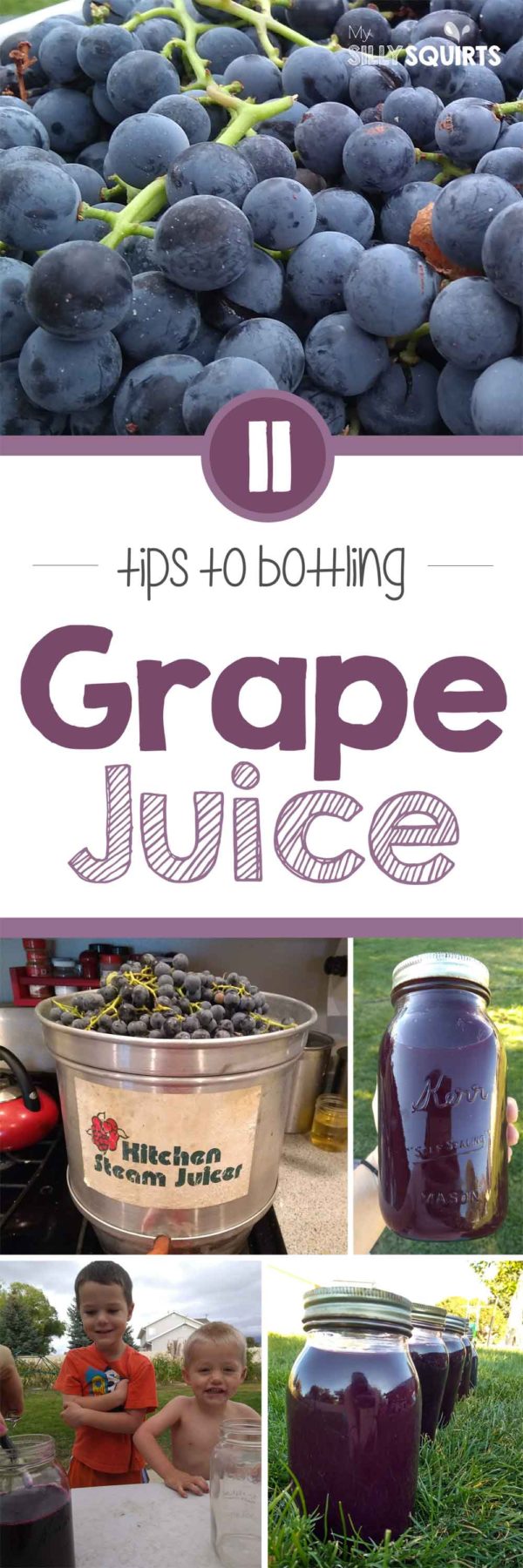 11 useful tips to bottling grape juice - My Silly Squirts