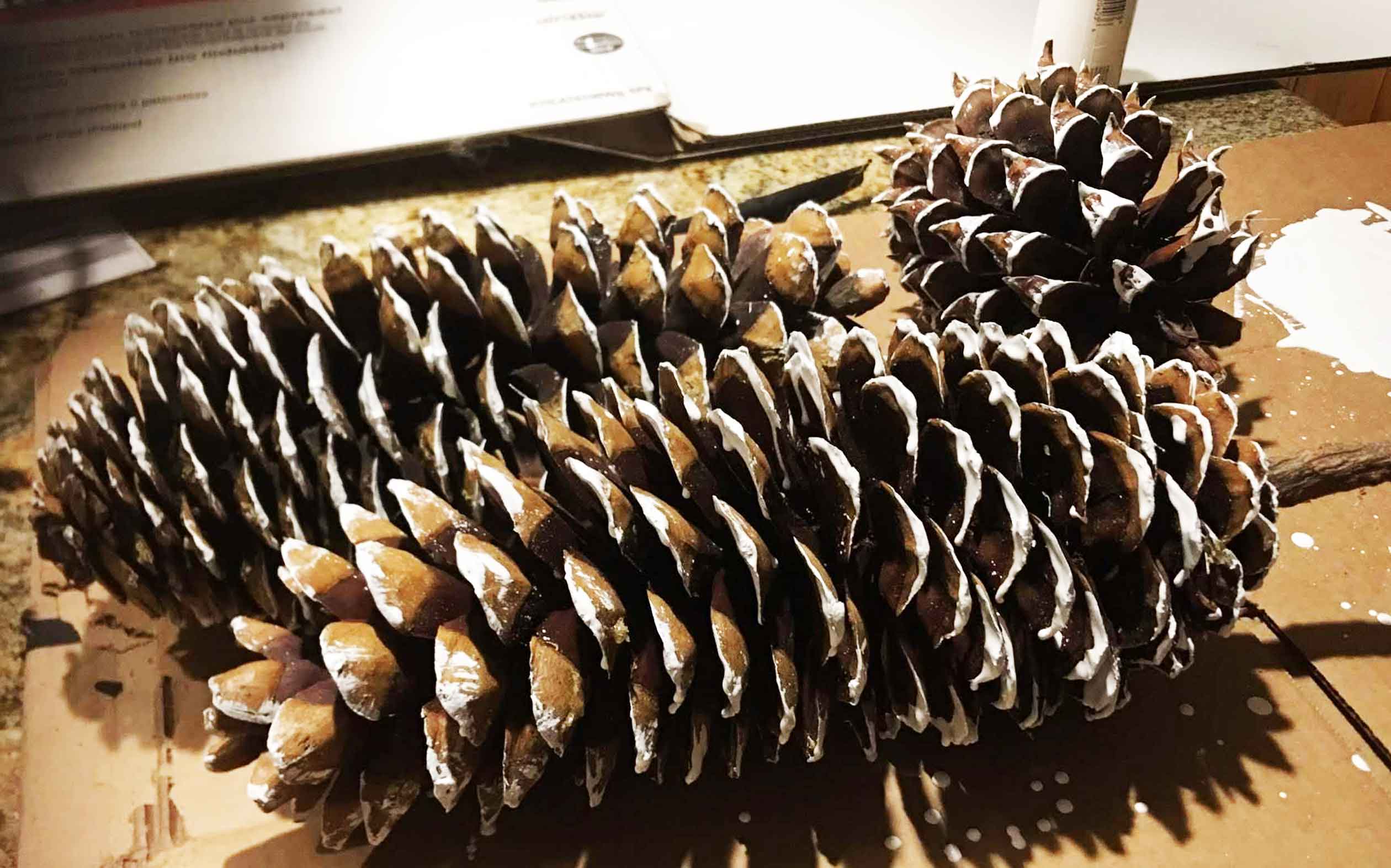 Five tips to sparkly-cute winter pine cones - My Silly Squirts
