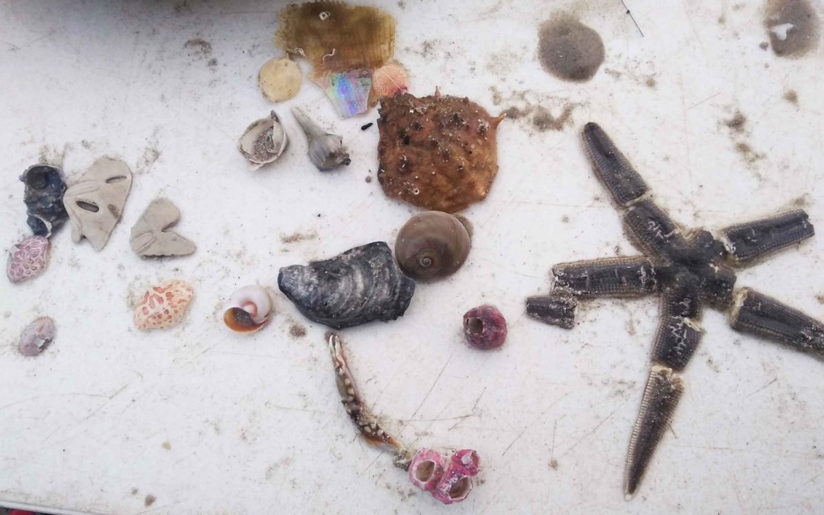 5 Unique beach activities your kids will LOVE - My Silly Squirts