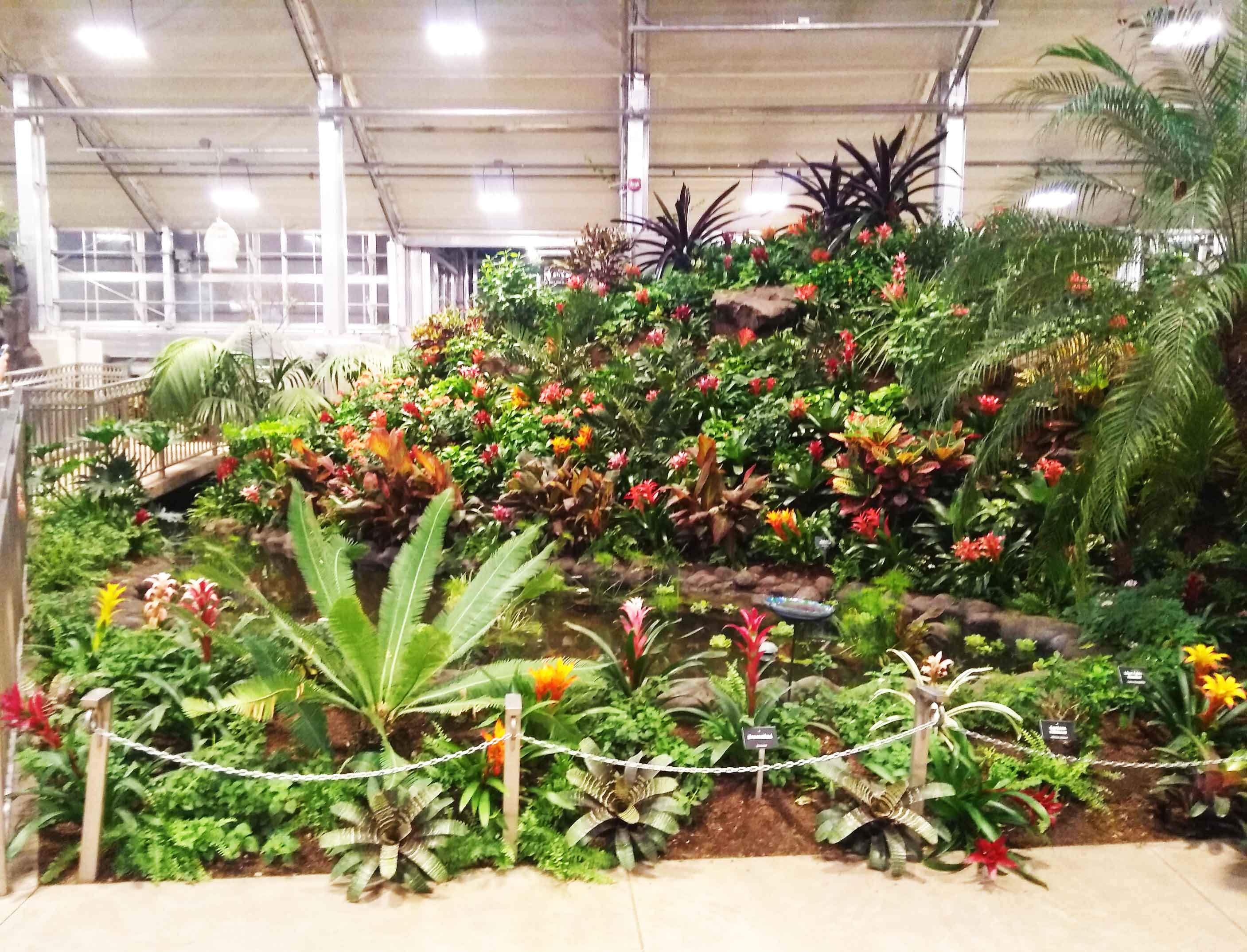 Butterfly Biosphere: A must see at Thanksgiving Point - My Silly Squirts