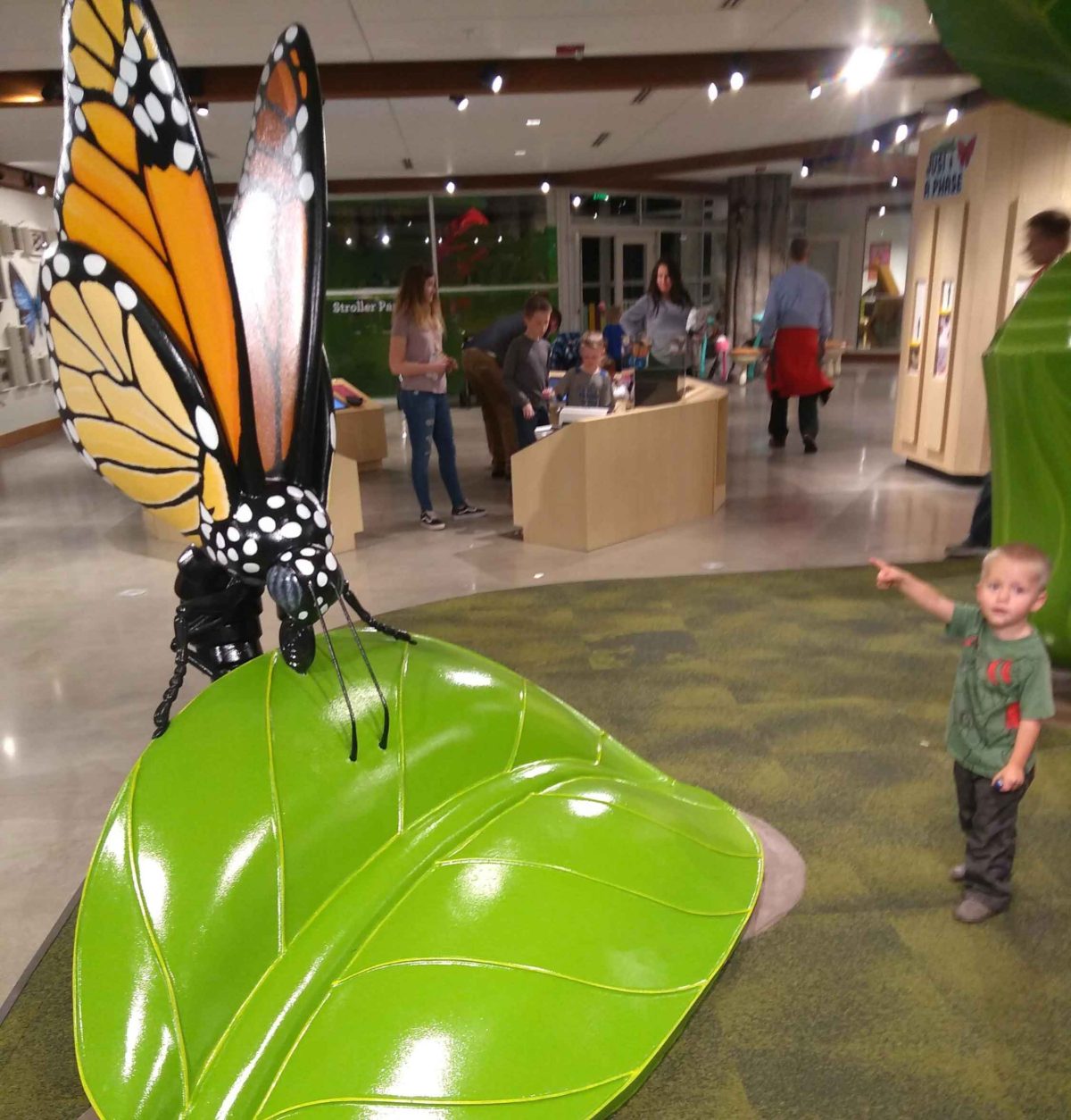 Butterfly Biosphere: A must see at Thanksgiving Point - My Silly Squirts