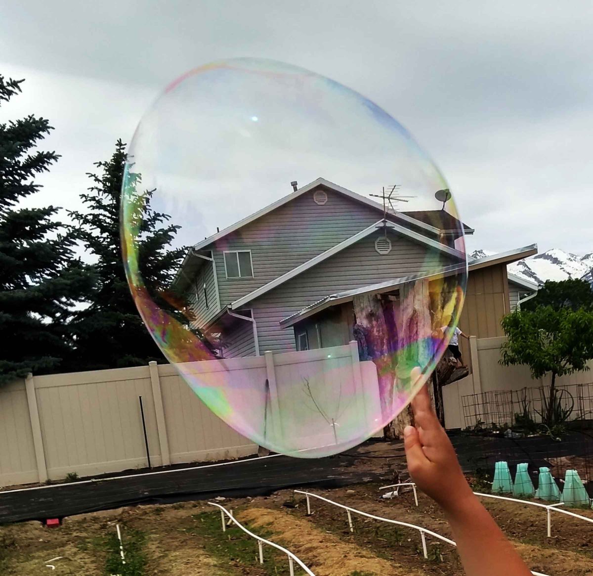 I found the best giant bubble recipe. Here are the results. - My Silly ...