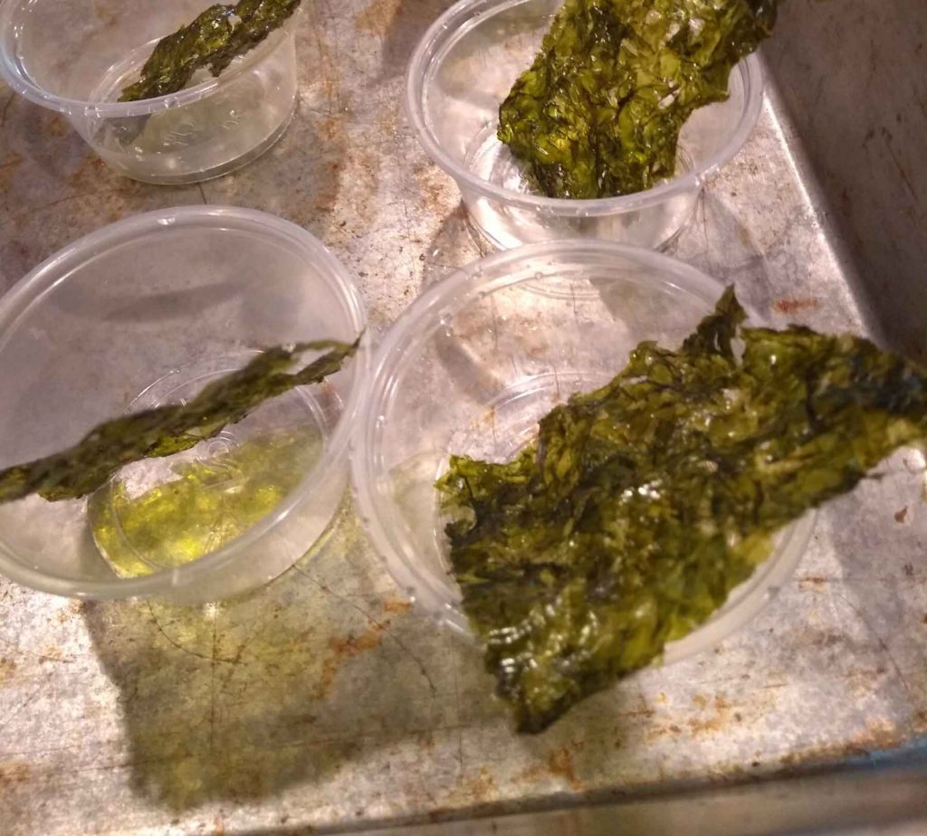 100 Fear Factor Food Challenge ideas for your next party - My Silly Squirts