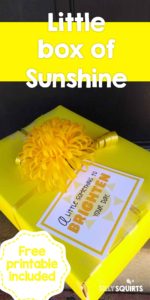 Cheer up a friend with a little box of sunshine - My Silly Squirts
