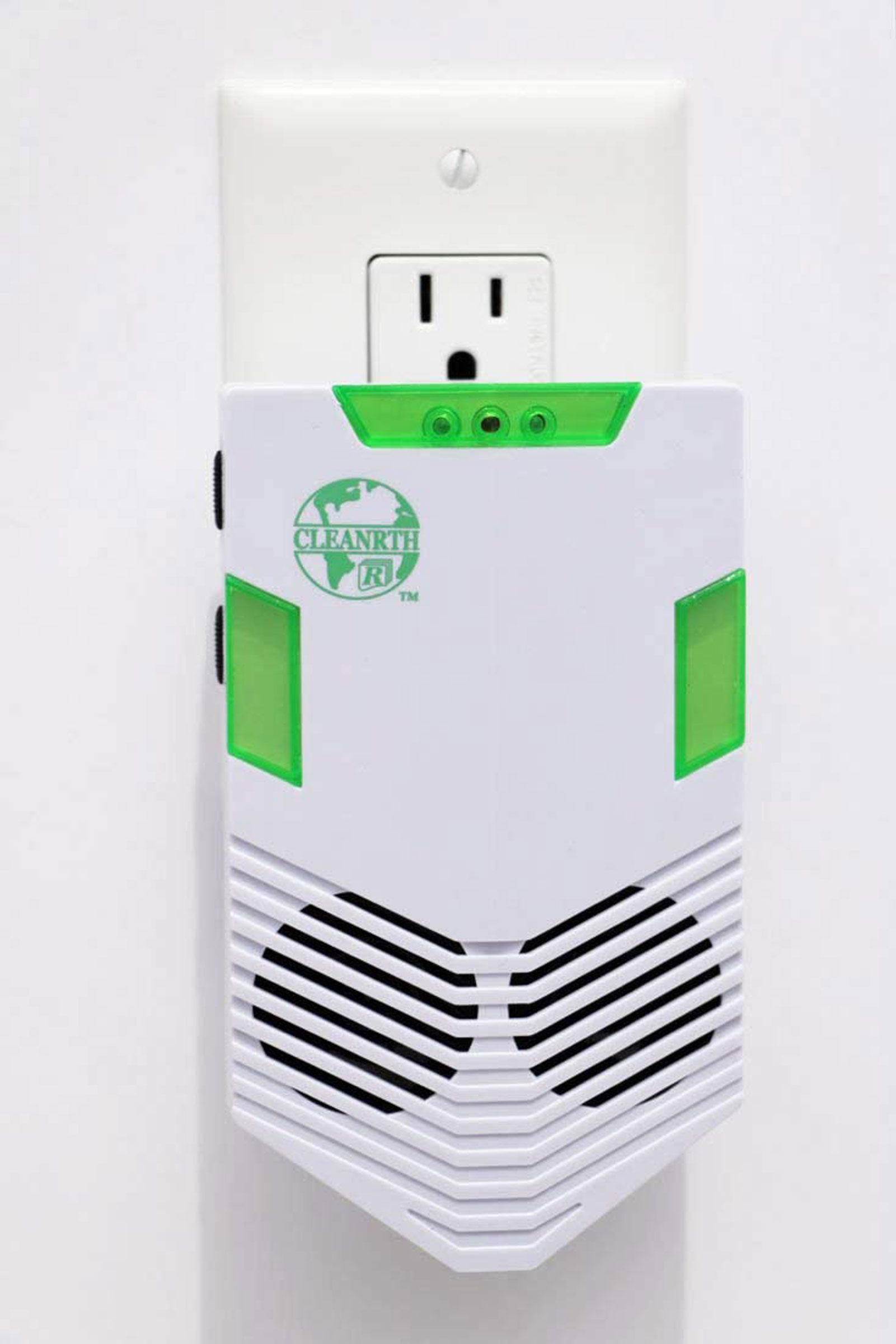 Mouse traps: The best and the worst - My Silly Squirts