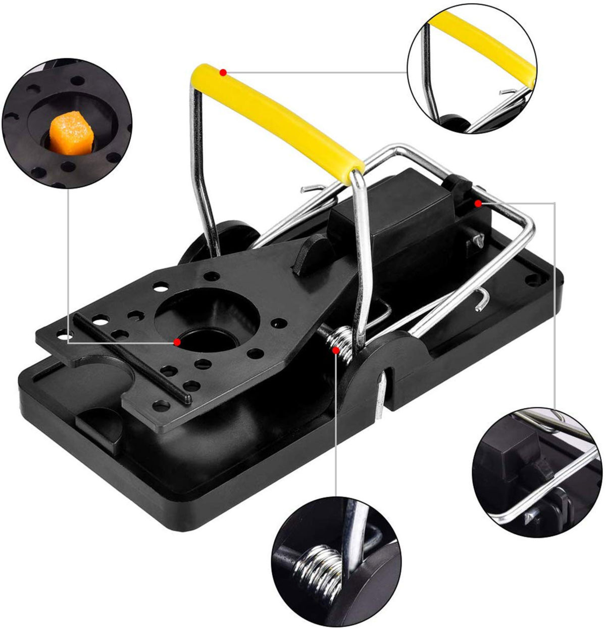 Mouse traps: The best and the worst - My Silly Squirts