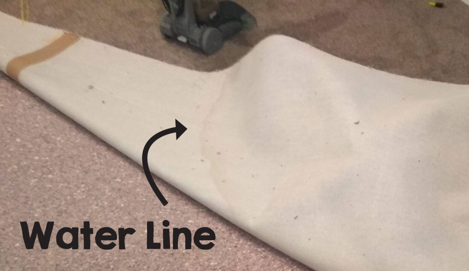 Wet carpet! Tips to prevent mold and save money - My Silly Squirts