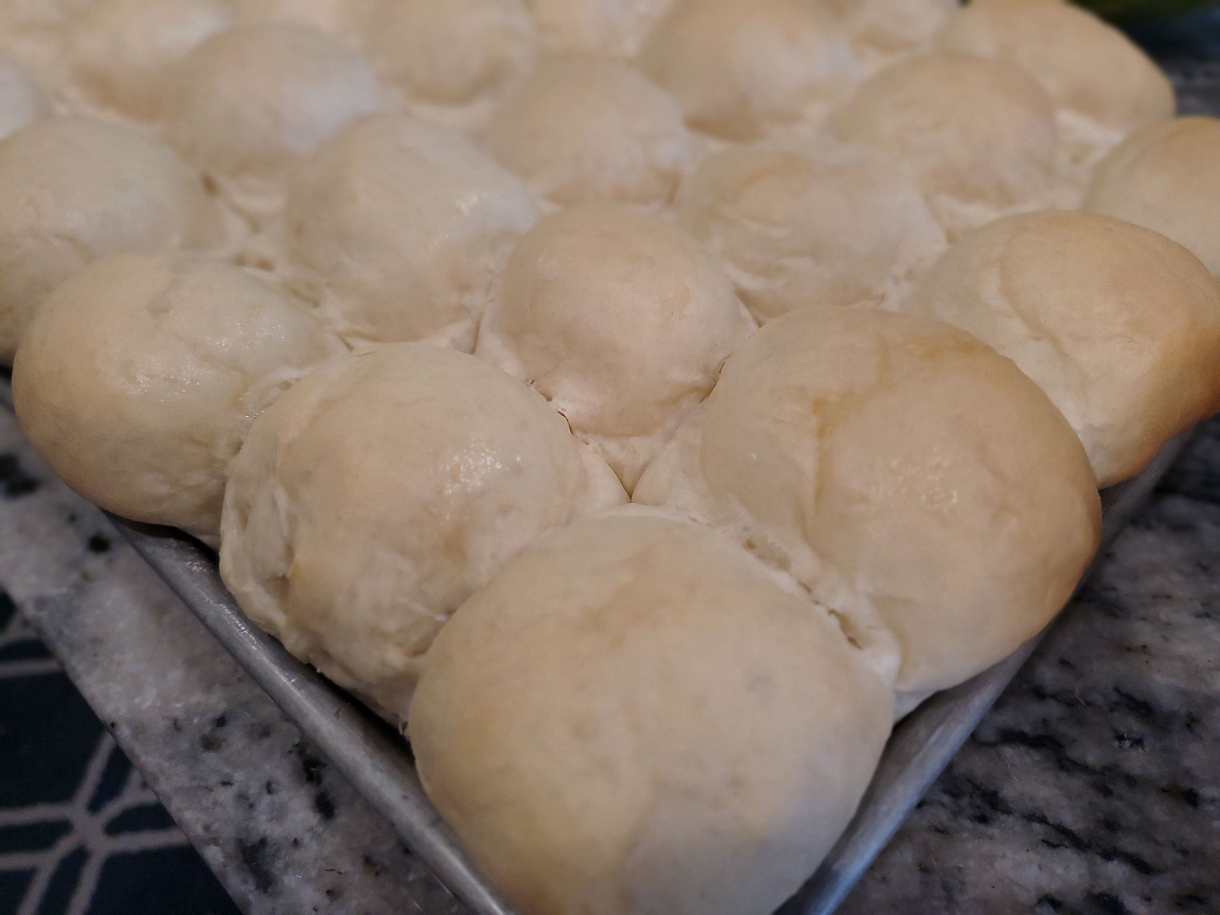Dang delicious homemade dinner rolls to feed a crowd - My Silly Squirts