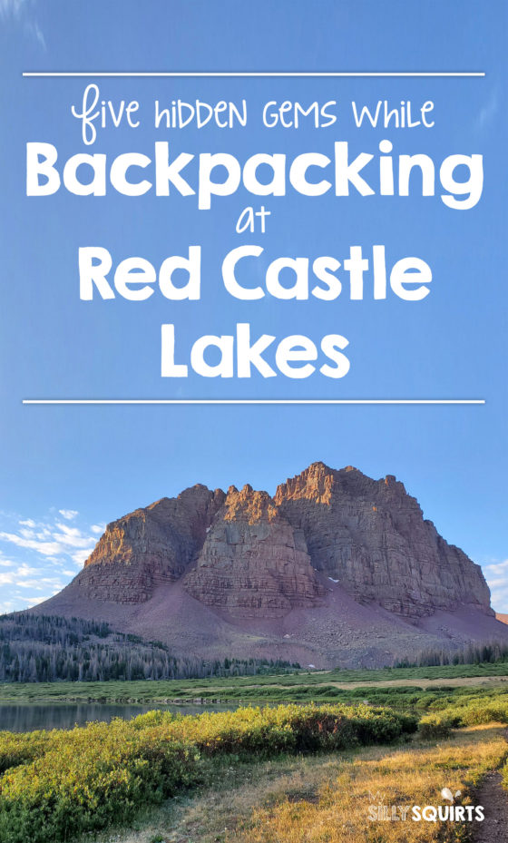 5 hidden gems while backpacking to Red Castle Lakes in the High Uintas ...