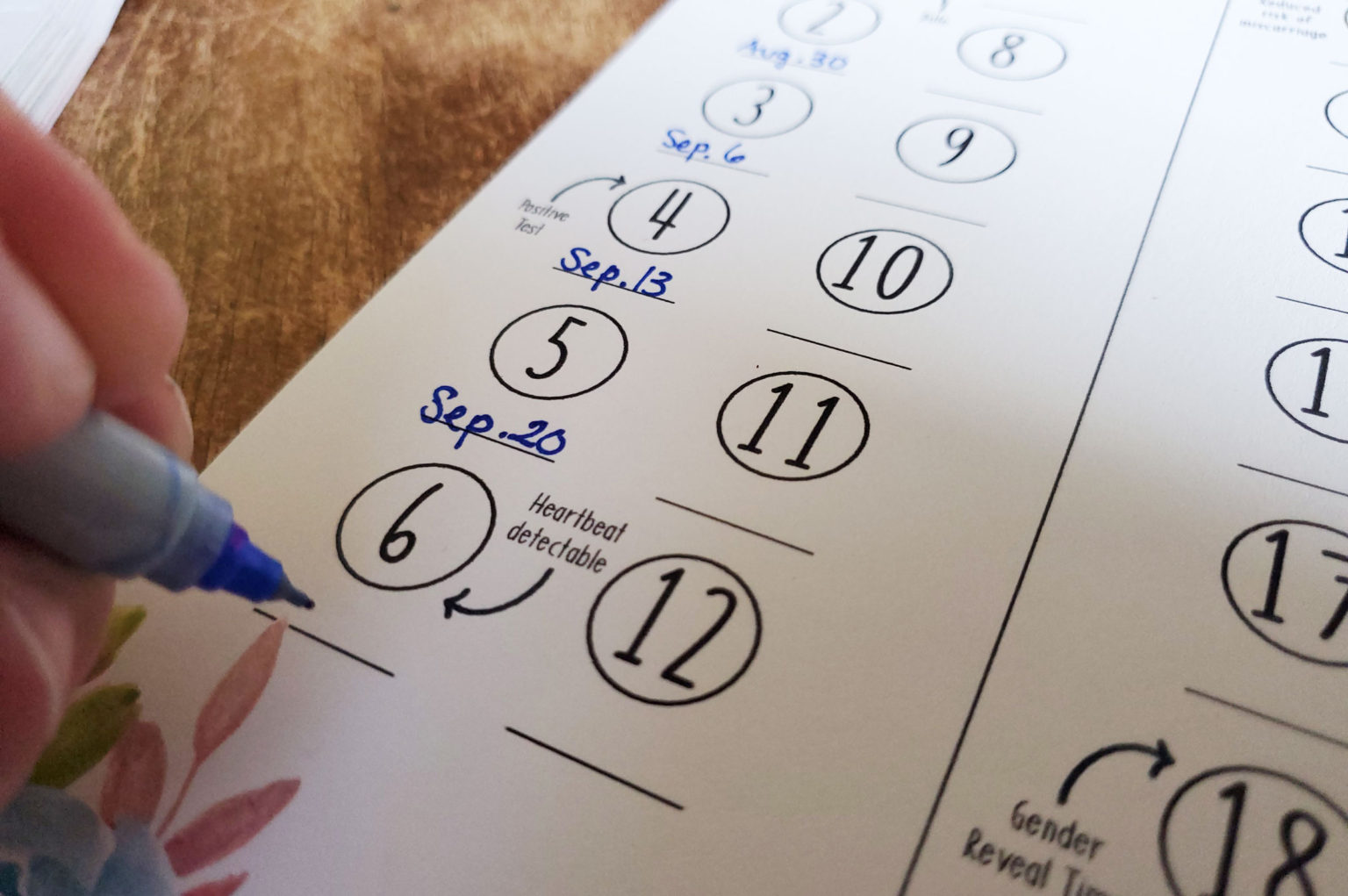 Expecting? 40-week pregnancy countdown printable - My Silly Squirts