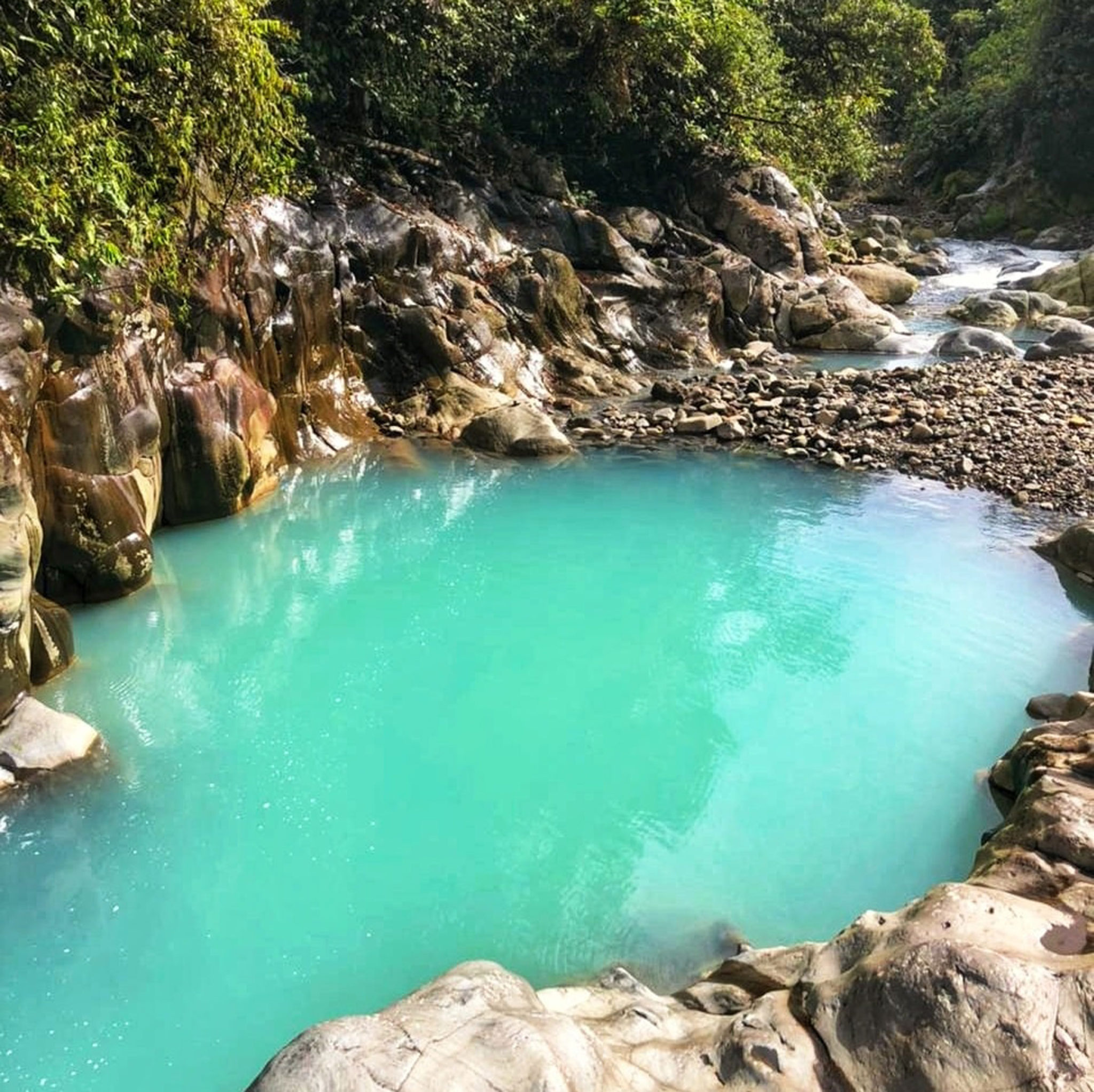 Rawr! Five reasons why you should give Dinoland Costa Rica a try today ...