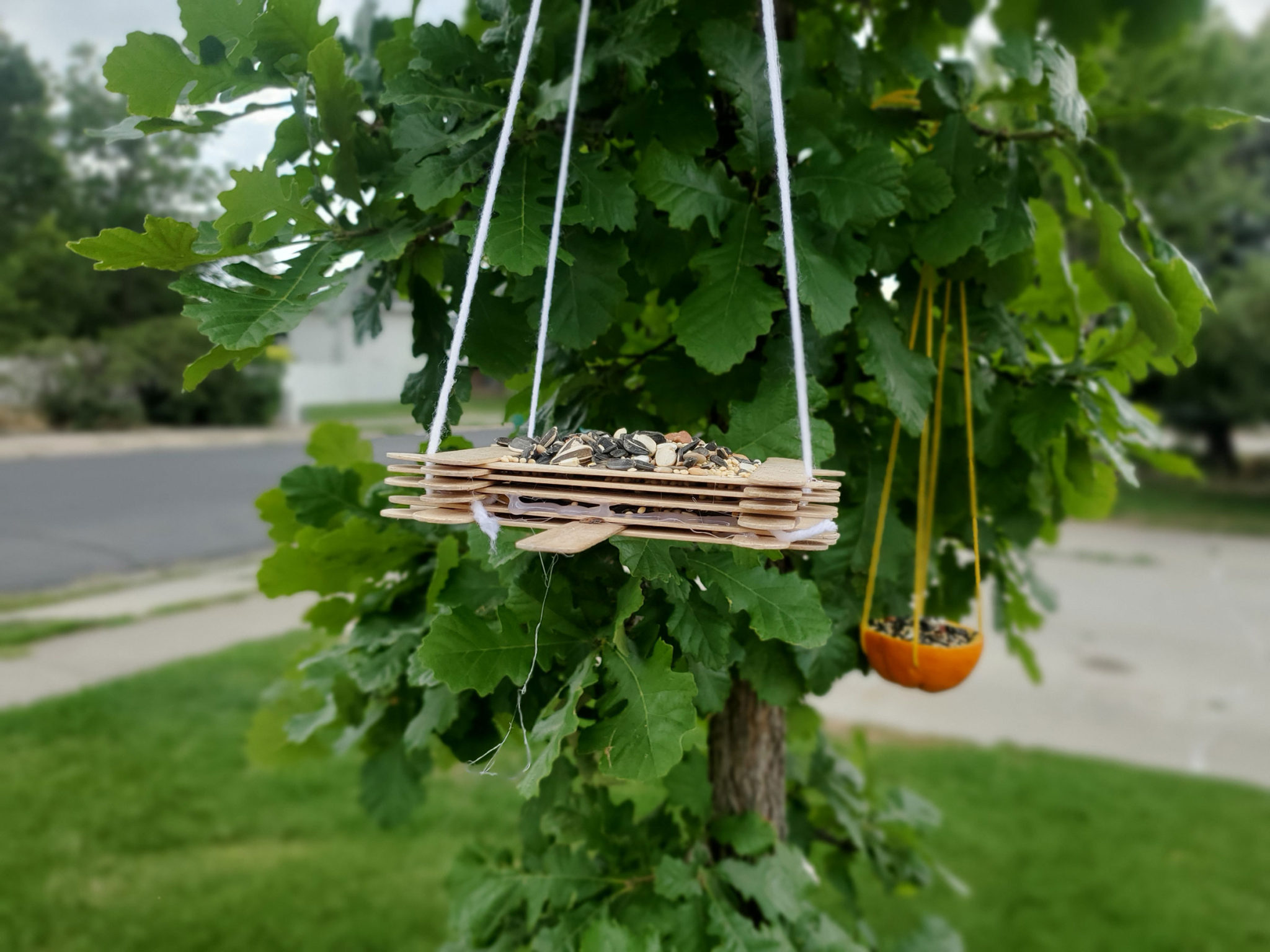 Two Bird Feeders For Kids In 20 Minutes Or Less My Silly Squirts Two Bird Feeders For Kids In 20 Minutes Or Less My Silly Squirts