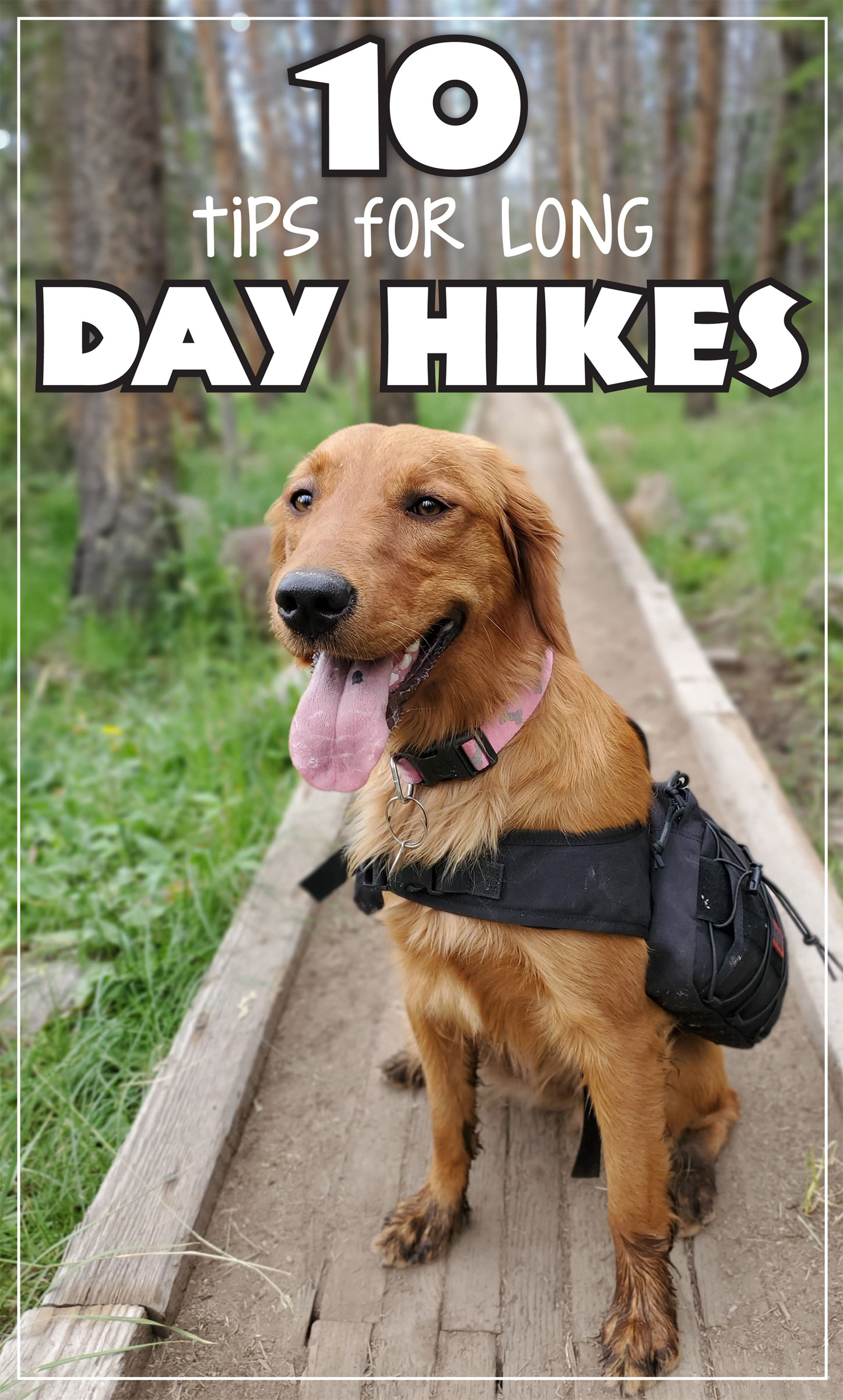 10 tips for long day hikes that everyone should know - My Silly Squirts
