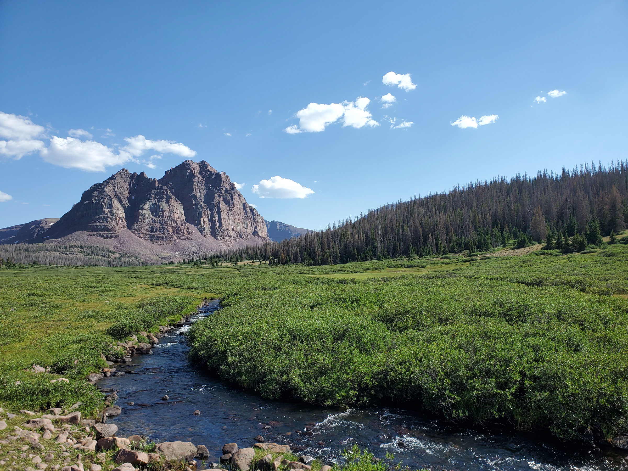10 tips for long day hikes that everyone should know - My Silly Squirts