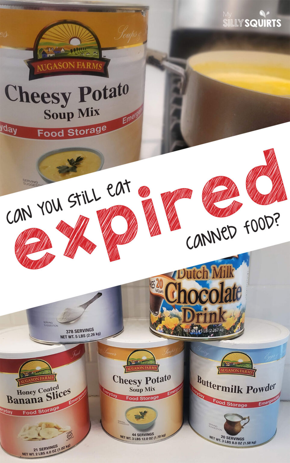 Expired canned food storage: How long is too long? - My Silly Squirts