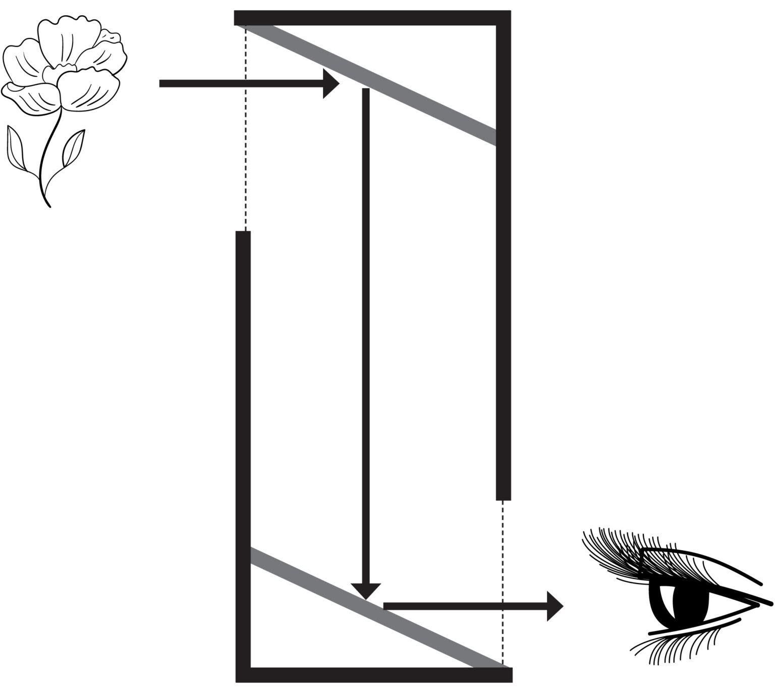 How to make a periscope with step-by-step instructions - My Silly Squirts