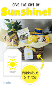 40+ Basket of Sunshine gift ideas for that special someone - My Silly ...