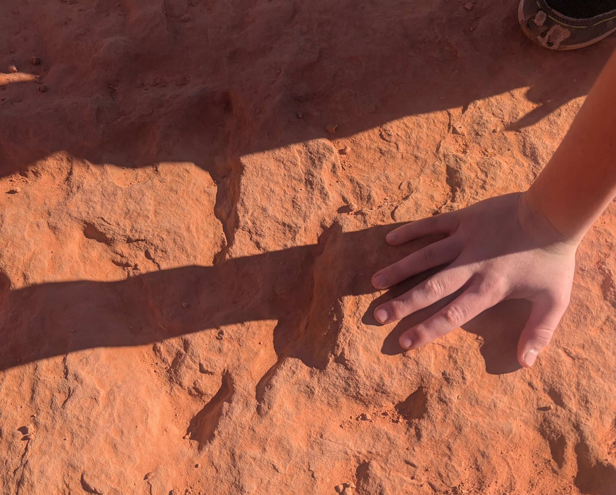 Hiking the Red Reef Trail in St. George, Utah - My Silly Squirts