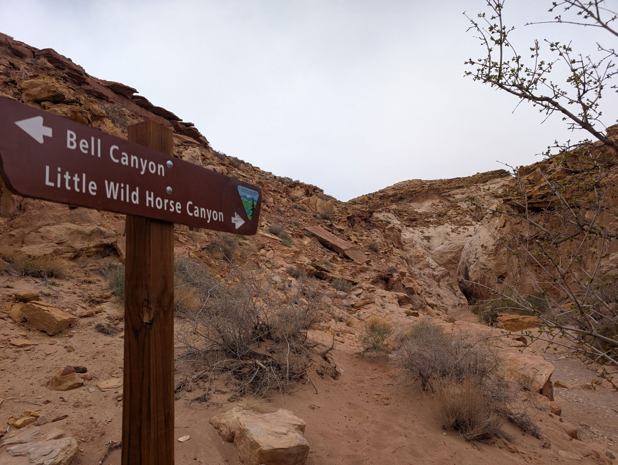 Little Wild Horse: One of the best family-friendly slot canyons in Utah - My Silly Squirts