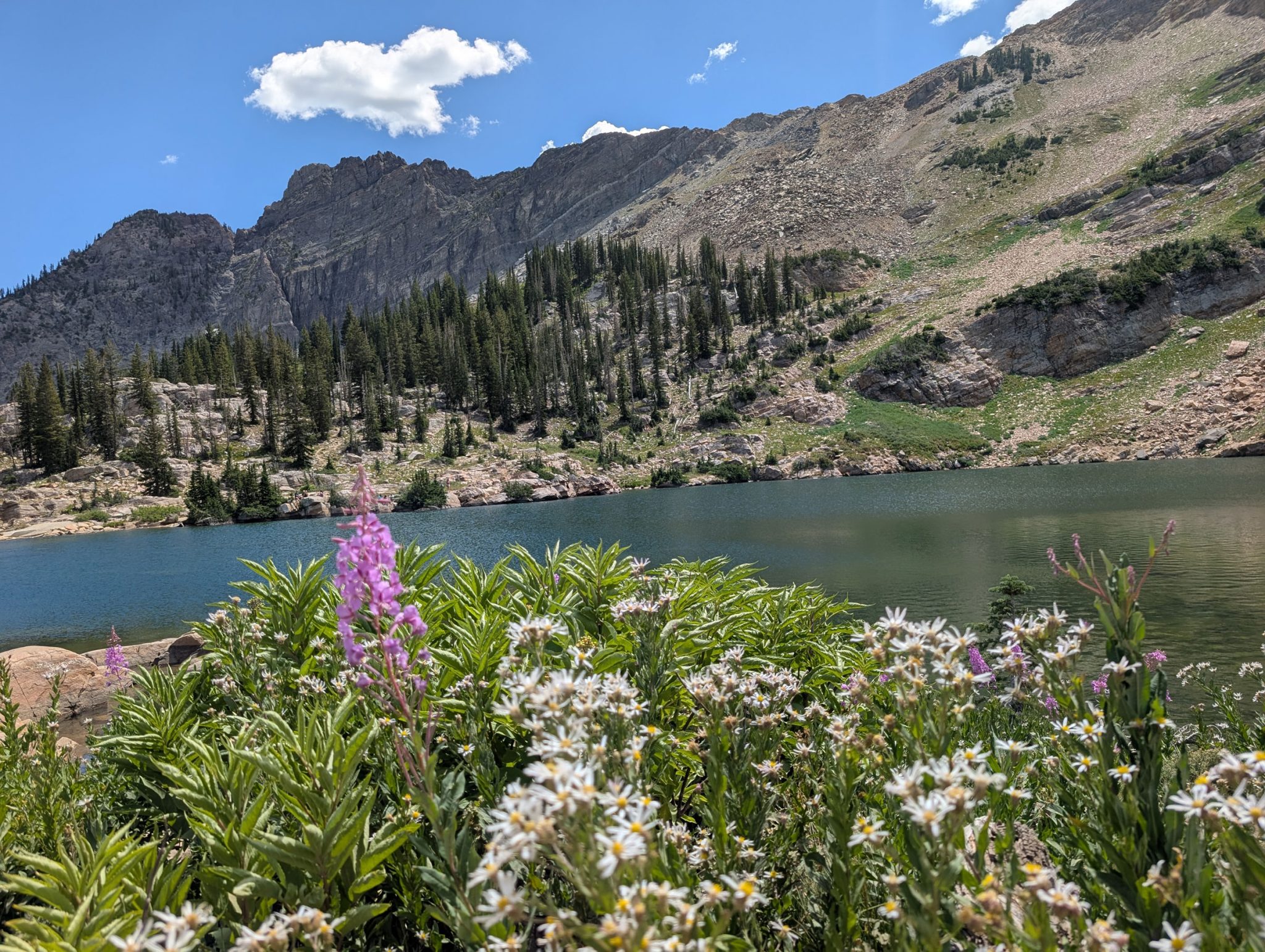 Cecret Lake Trail: A breathtaking hike atop Utah's mountains - My Silly ...